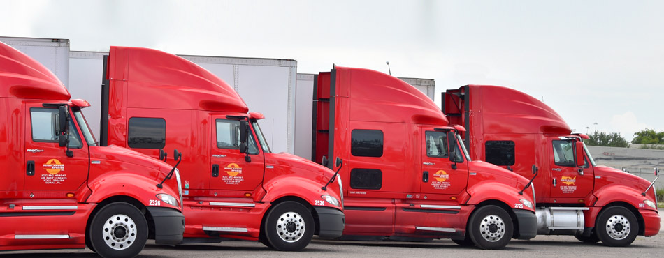 Highlander Xpress